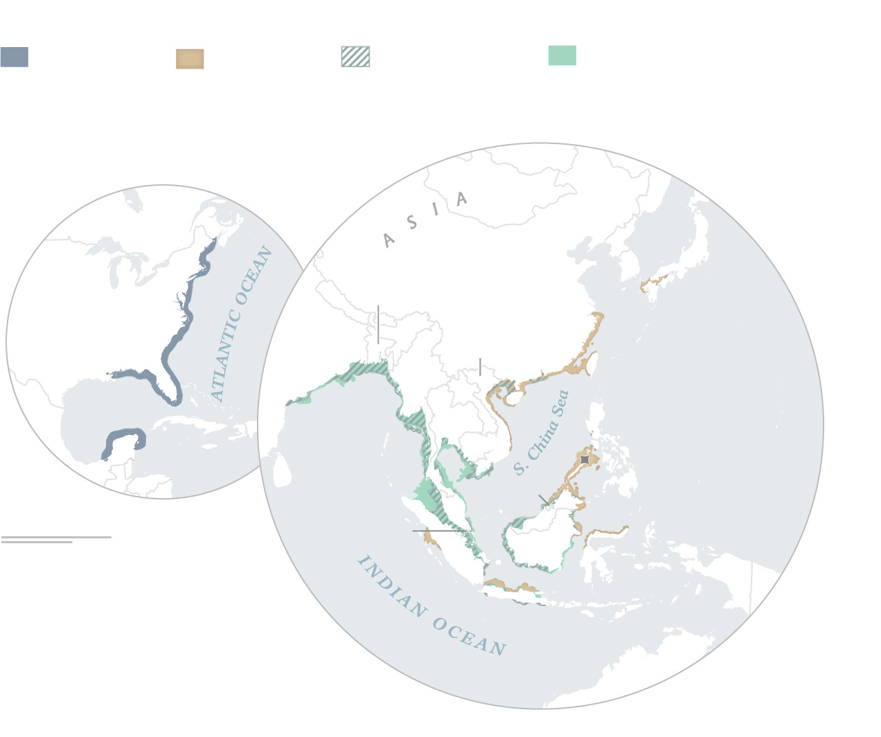 Ranges of horseshoe crabs