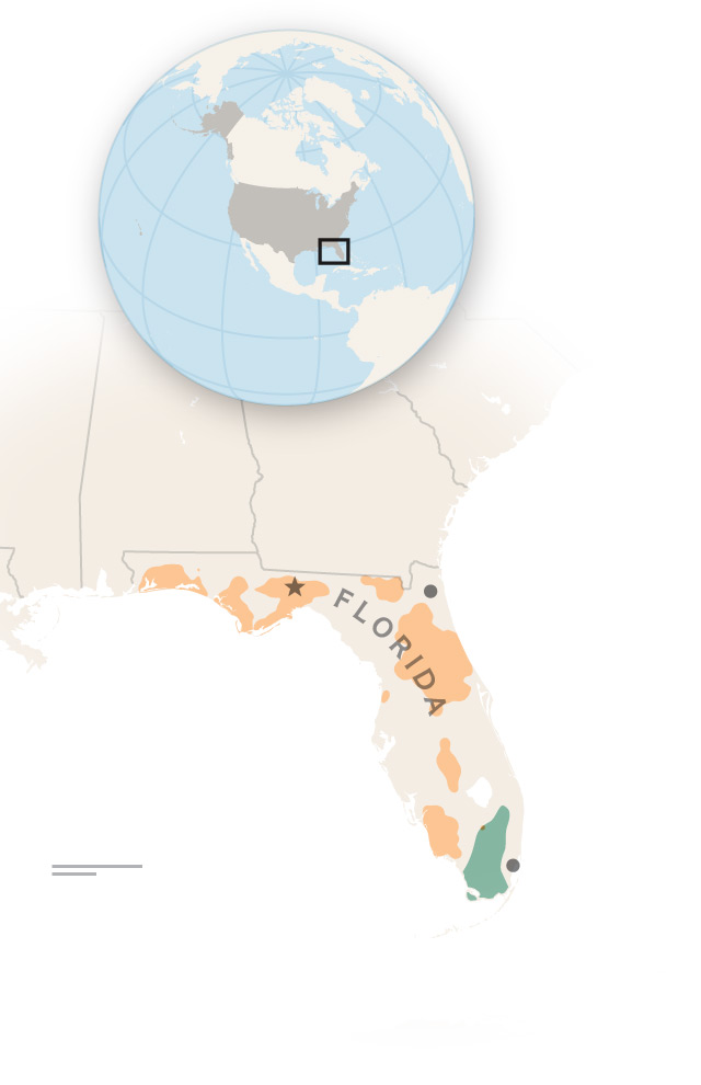 Bears Range Map Of Florida Georgia Black Bear Sightings In Alabama Are