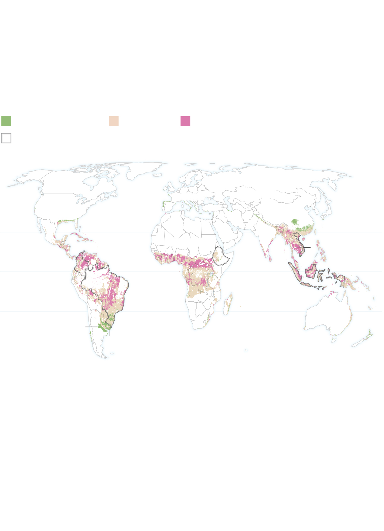 The best areas for growing coffee are
