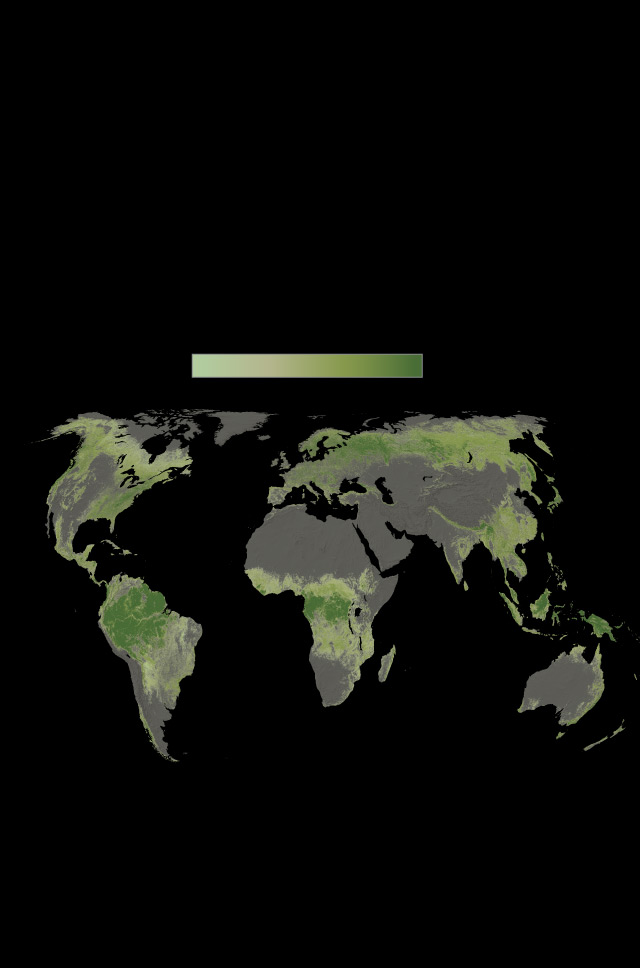 Global Forests
