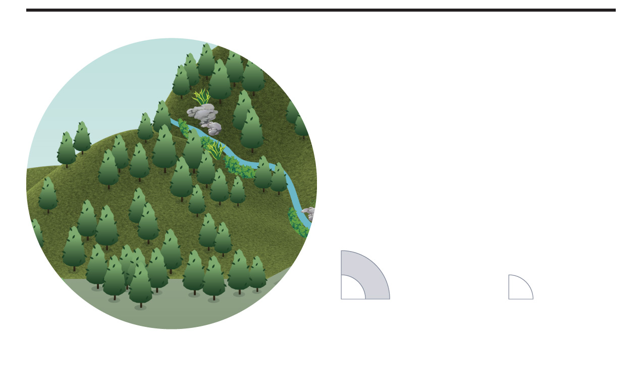 Growing forests