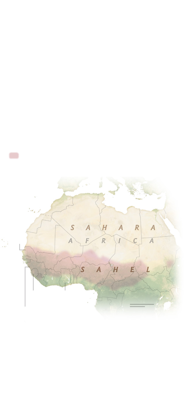 Language as a locator