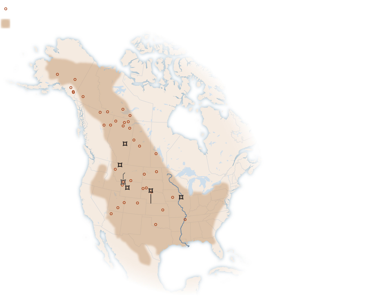 Bison herds managed for conservation in 2019